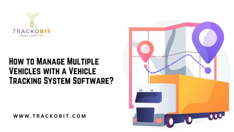 How to Manage Multiple Vehicles with a Vehicle Tracking System Software ...